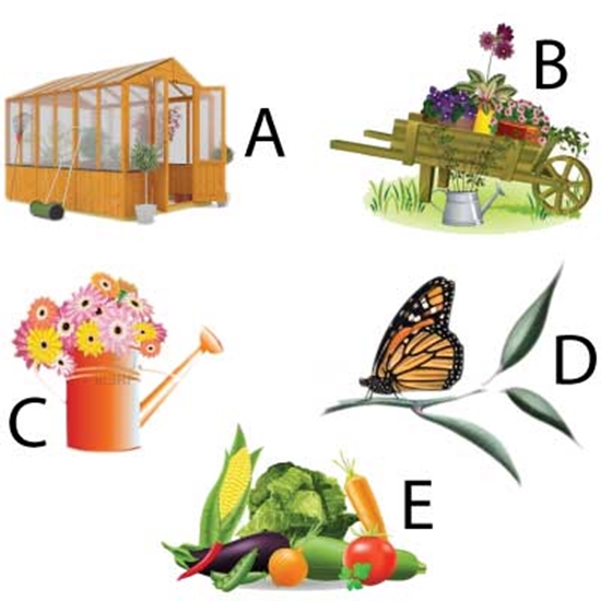 JAF Graphics. Personalised Garden Allotment sign