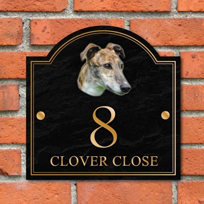 JAF Graphics. Animal & Pet