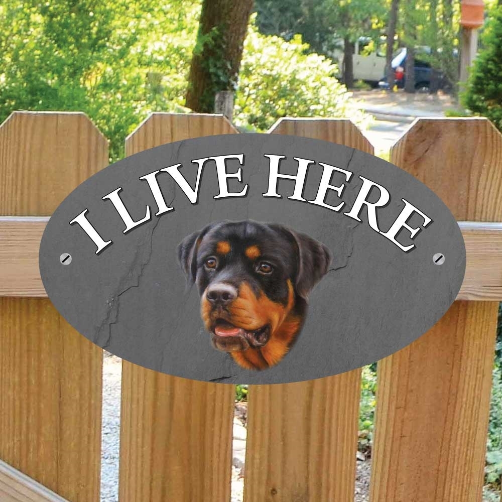 JAF Graphics. Rottweiler I Live Here Gate Sign