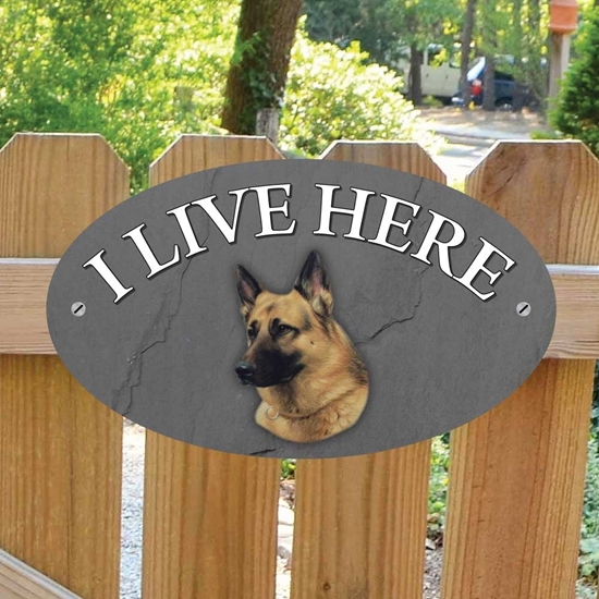 JAF Graphics. German Shepherd I Live Here Gate Sign