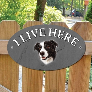 JAF Graphics. I Live Here Gate Signs