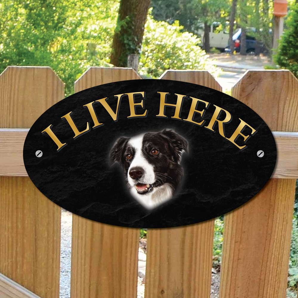 JAF Graphics. COLLIE Dog Gate Sign