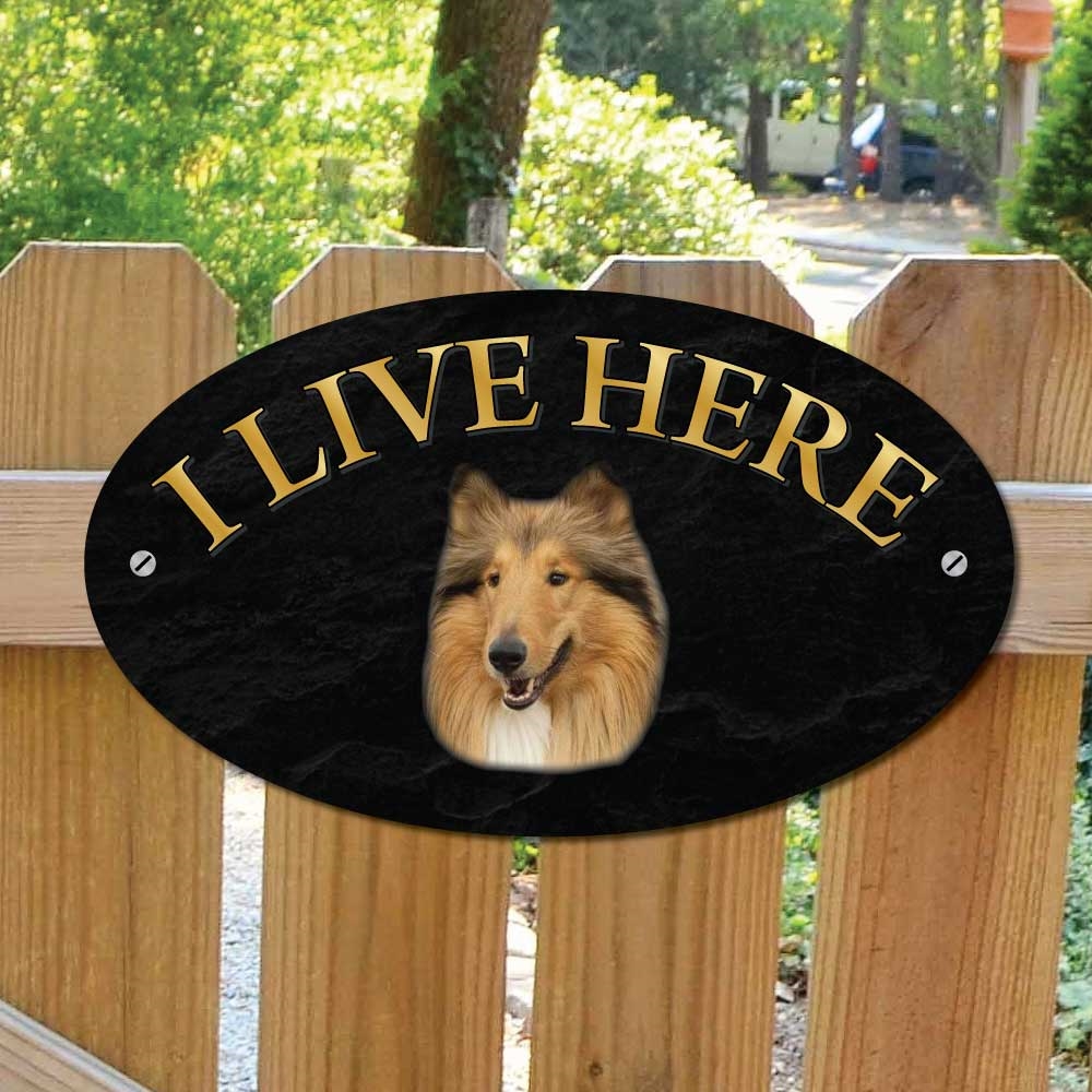 JAF Graphics. ROUGH COLLIE Dog Gate Sign