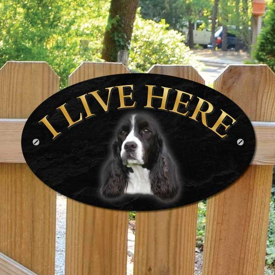 JAF Graphics. English Springer Spaniel I Live Here Sign