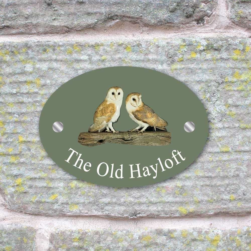 JAF Graphics. Barn Owl Bird House Sign Plaque