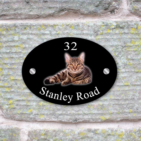 JAF Graphics. Personalised Tabby Cat House Sign