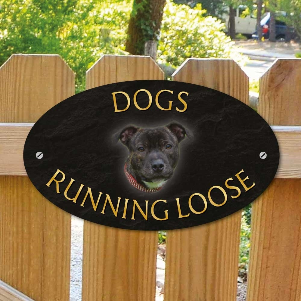 JAF Graphics. Staffordshire Bull Terrier Dogs Loose Sign
