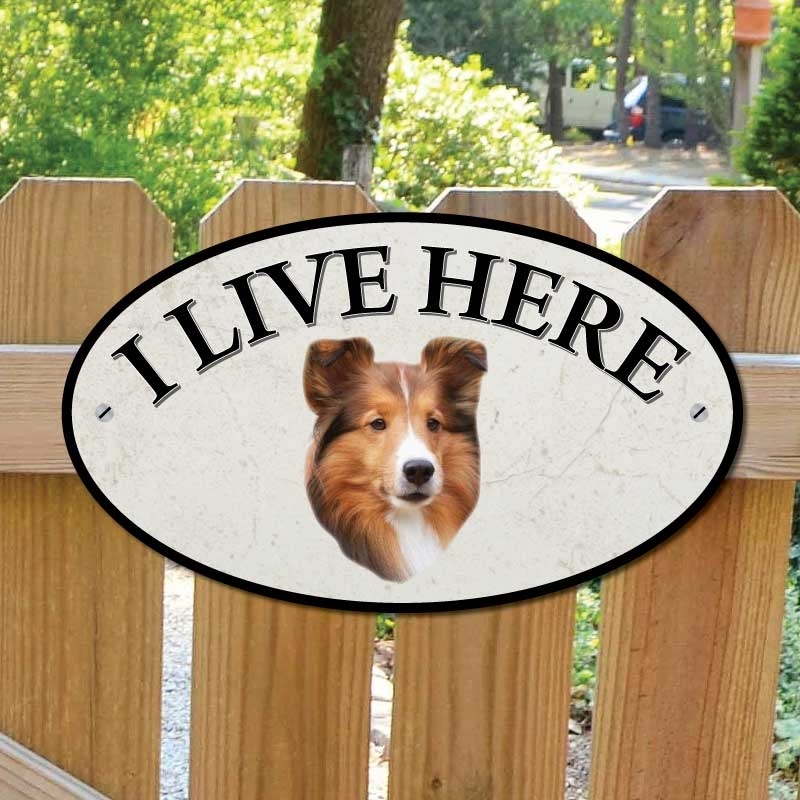 JAF Graphics. Shetland Sheepdog Dog Sheltie I Live Here Sign