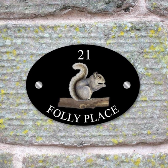 JAF Graphics. Personalised Grey Squirrel House Sign
