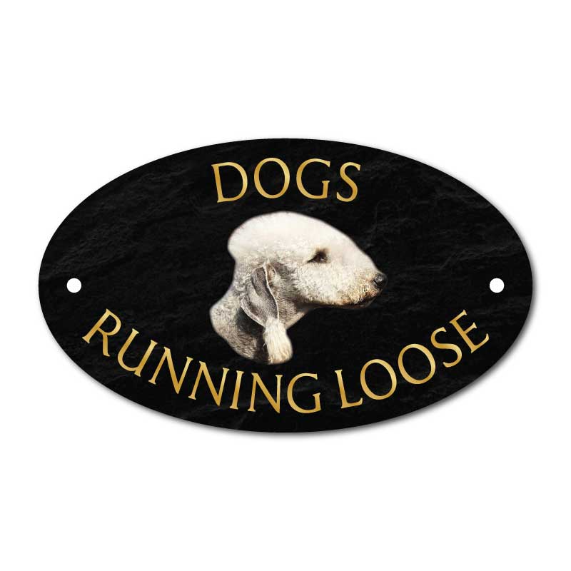 JAF Graphics. Dogs Running Loose Sign